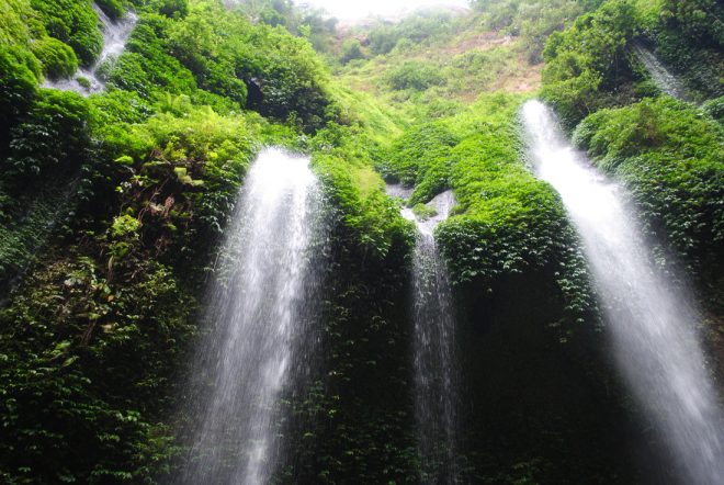 Madakaripura Waterfall Complete Information You Should To Know Travel ...